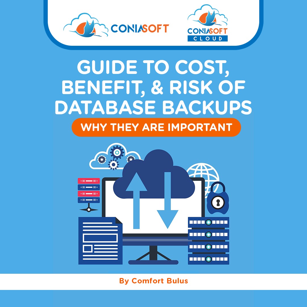 Cost-Benefit Analysis of Database Backup Risks - Conia Soft